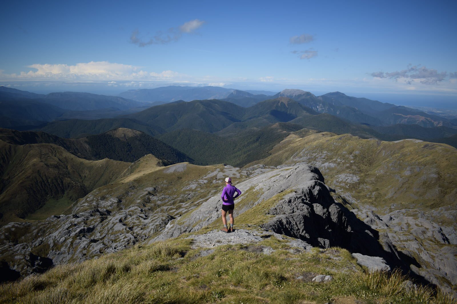 Kahurangi National Park - Mt. Arthur | výlet | Národní park | Hike ...